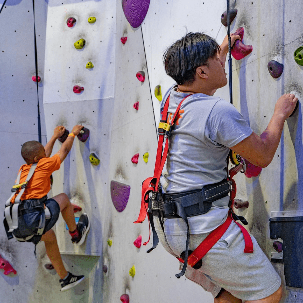 Adventure Park - Area 53